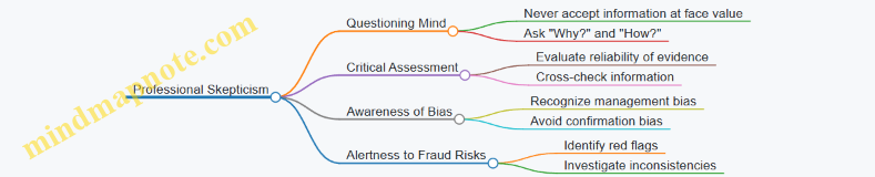 Audit Preparation and Techniques | MindMapNote.com